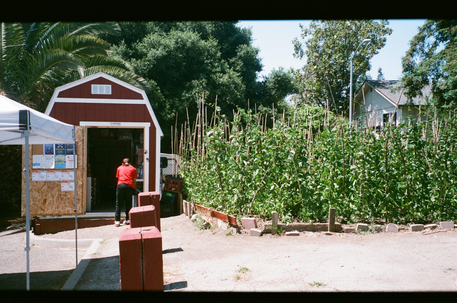 Latino Heritage Internship Program | Creative Projects Centered around ...