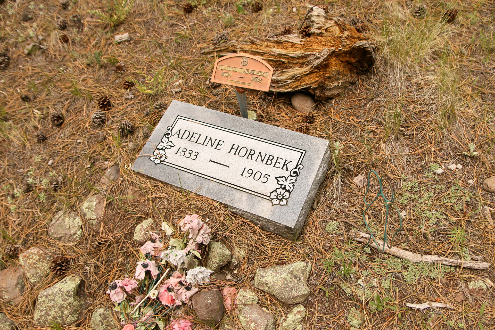 Latino Heritage Internship Program | Florissant will leave you ...