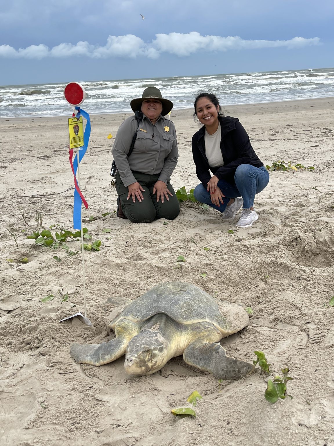 Latino Heritage Internship Program | The Sea Turtles at Padre Island ...