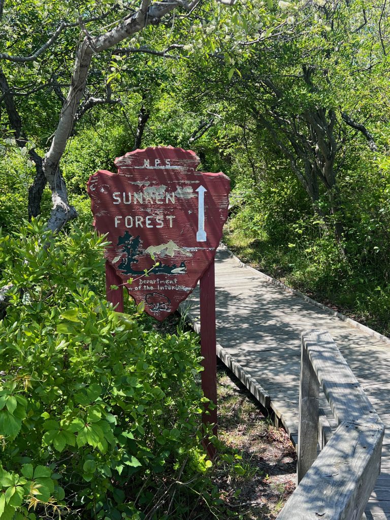 Latino Heritage Internship Program | Island, Ferry, Sunken Forest, and ...