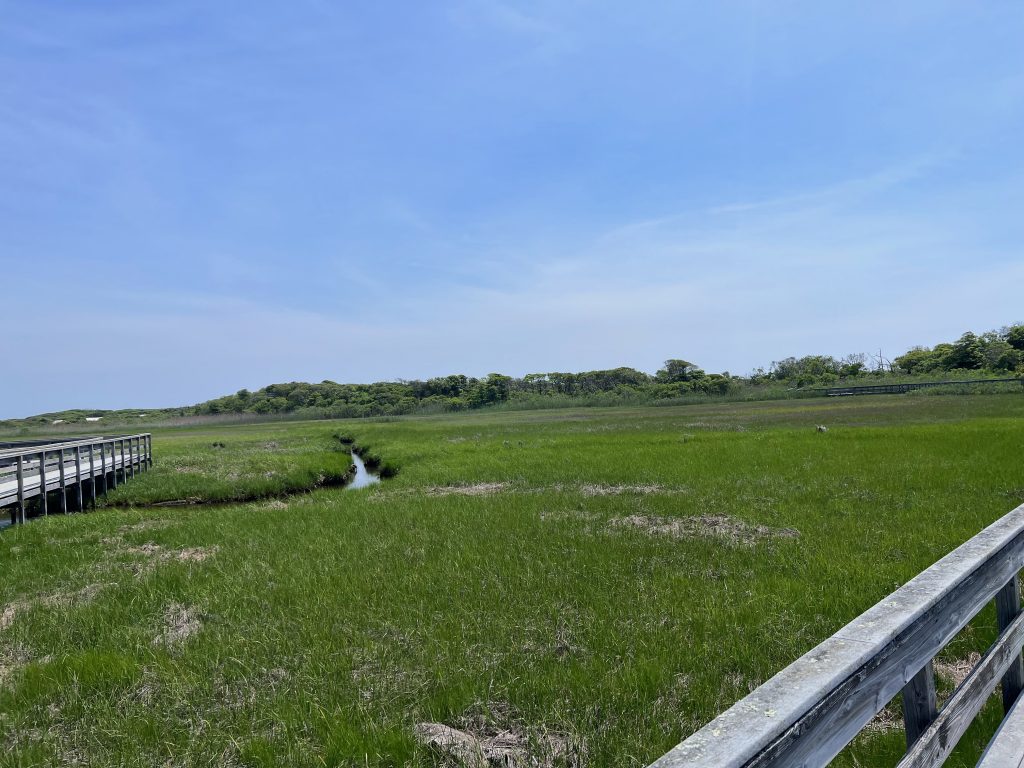 Latino Heritage Internship Program | Island, Ferry, Sunken Forest, and ...