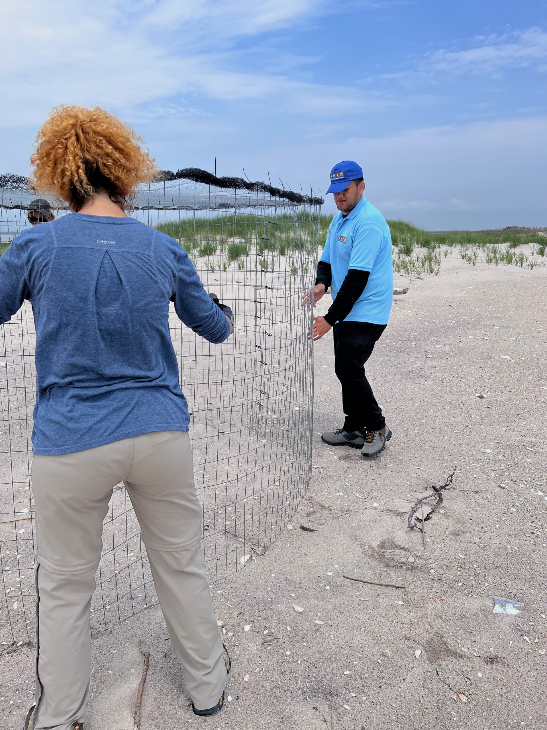 Latino Heritage Internship Program | Island, Ferry, Sunken Forest, and ...