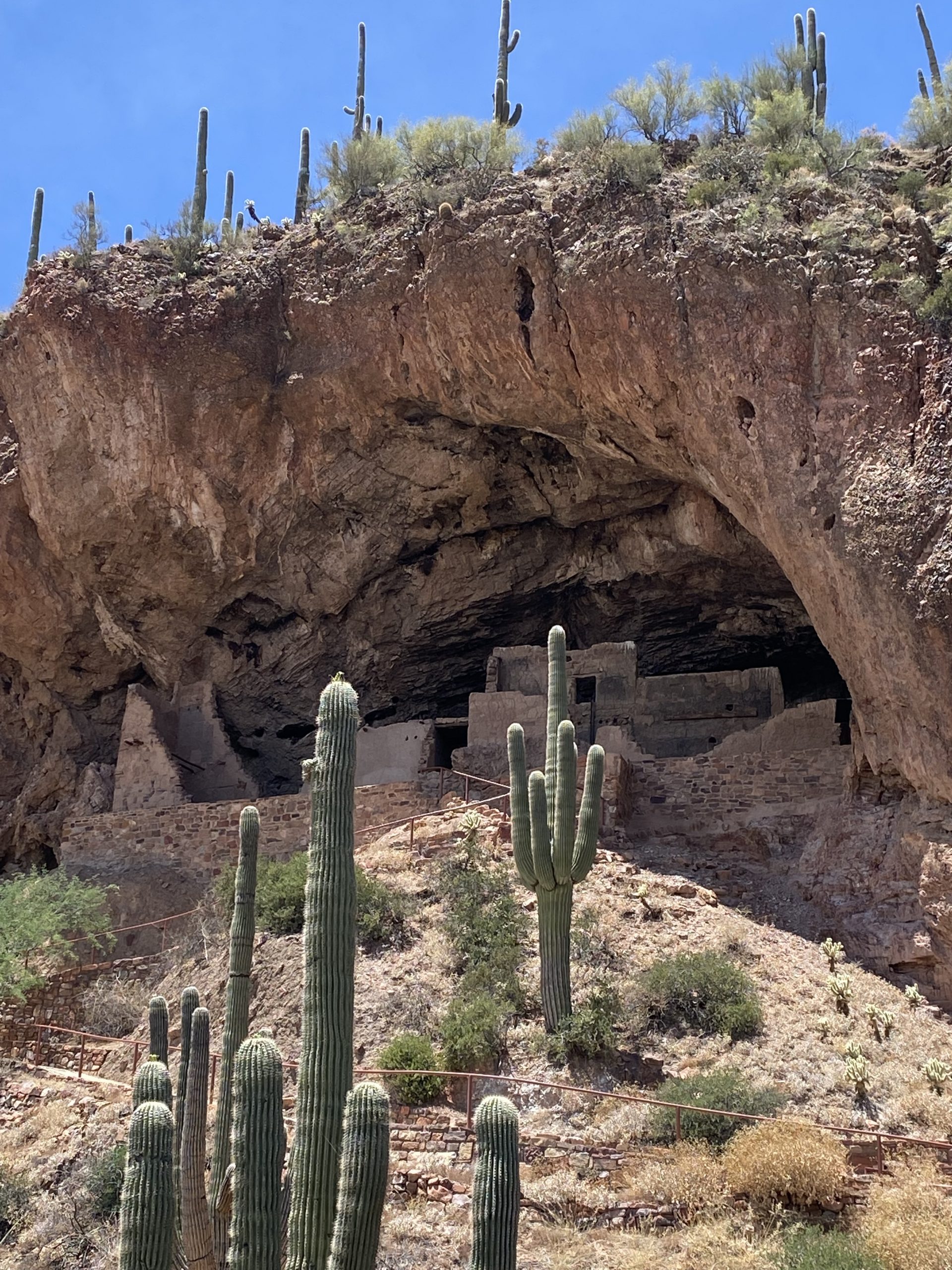 Latino Heritage Internship Program | Corn and Sky: Life in the Desert