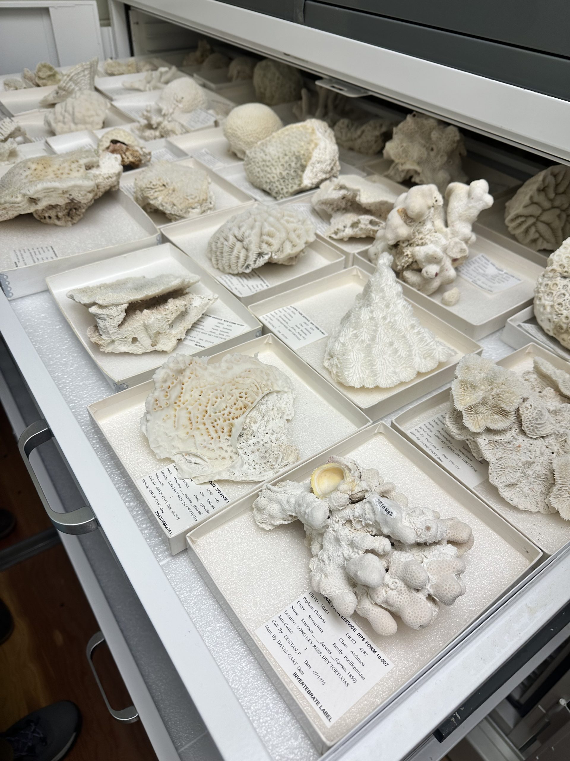 Latino Heritage Internship Program | Unearth the treasures of the ...