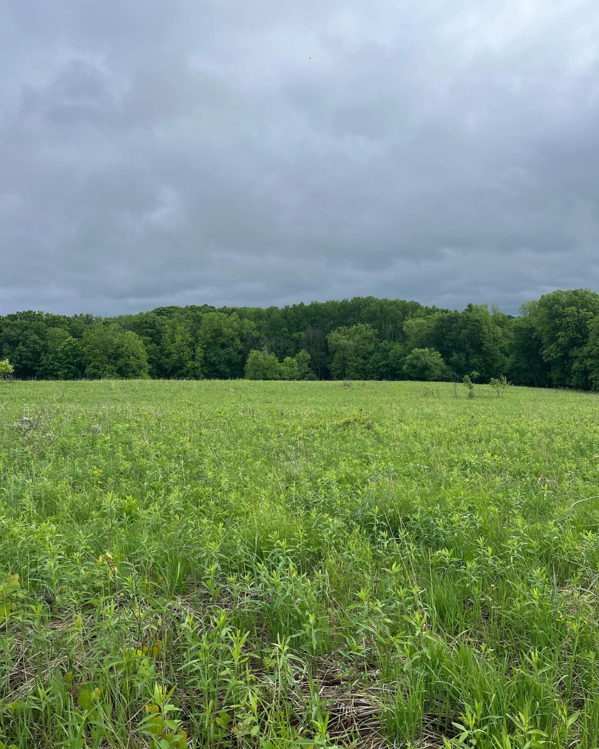 Latino Heritage Internship Program | Effigy Mounds National Monument ...